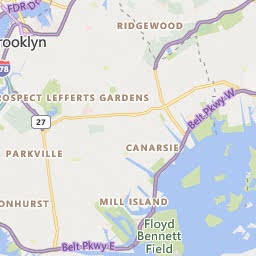 NYPD CompStat 2.0